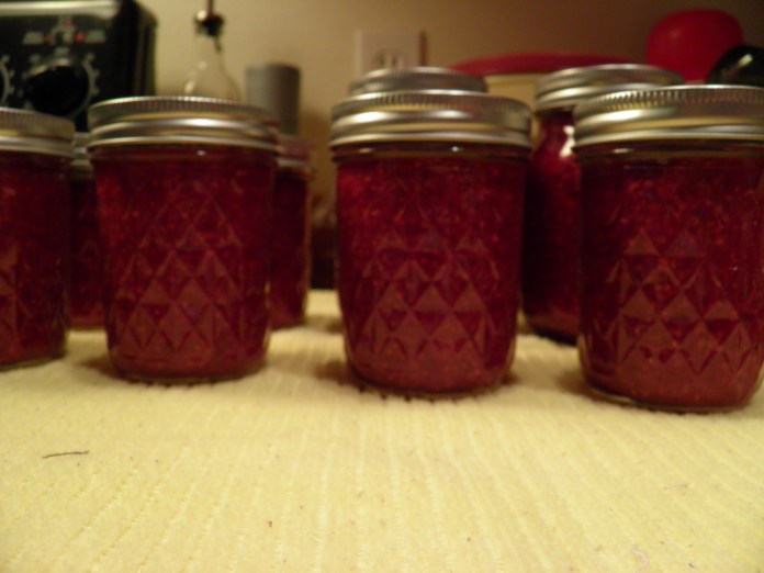 Raspberries: Cordial, Jam, Vinegar | Garden, Forest, Field
