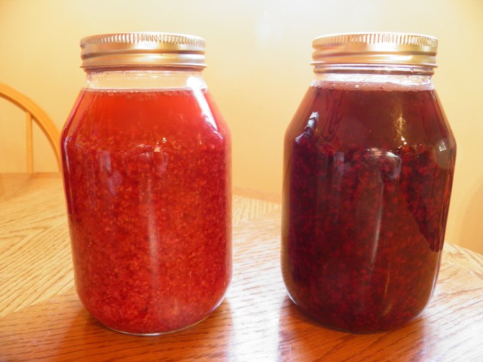 Raspberries: Cordial, Jam, Vinegar | Garden, Forest, Field
